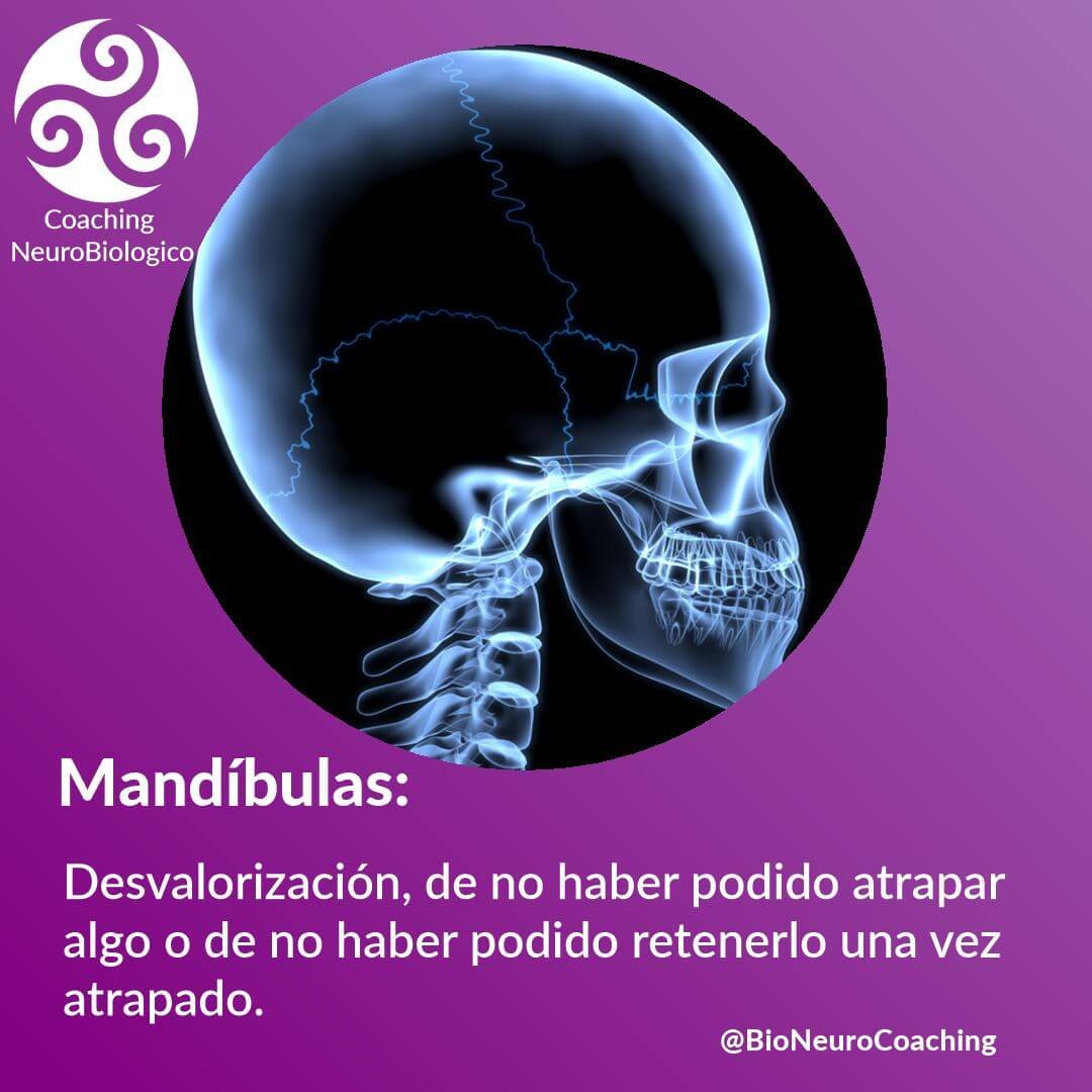 Biodescodificación de las mandíbulas - Coaching de Salud Integral.