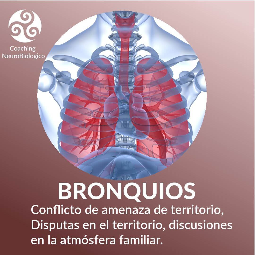 Biodescodificación de los Bronquios - Coaching de Salud Integral.