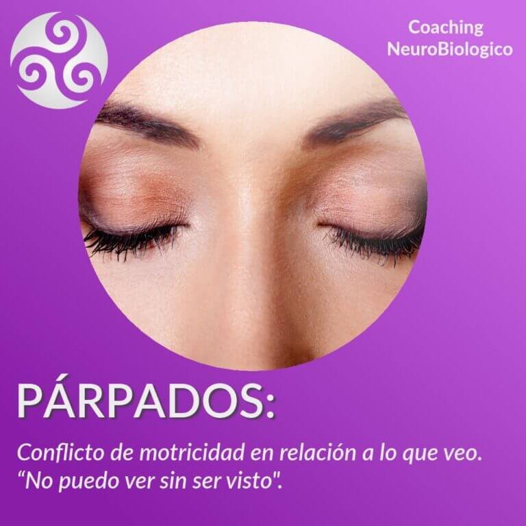 Biodescodificación de los Párpados - Coaching de Salud Integral.